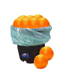 Bulk Buy Fruit : Country Grocer